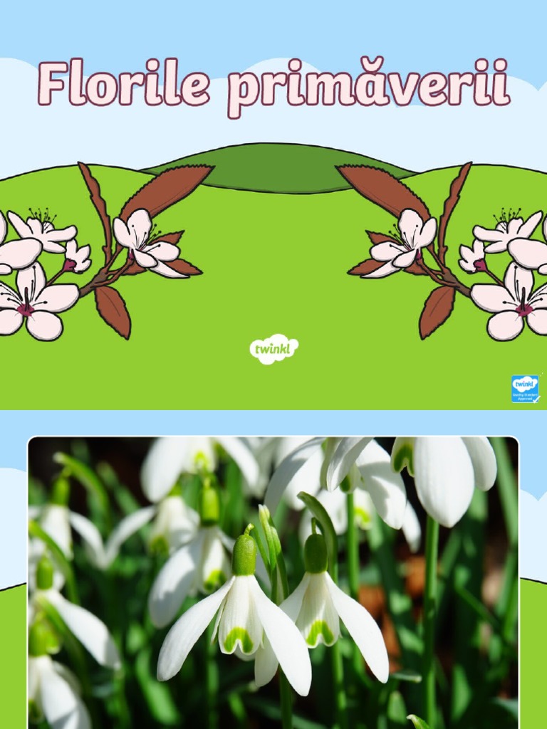 Flori de Primavara PowerPoint | PDF