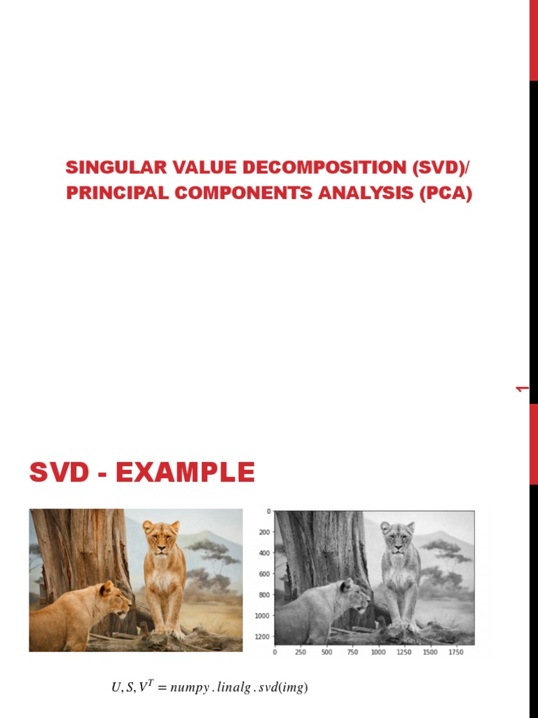Singular Value Decomposition (SVD) / Principal Components Analysis (Pca ...