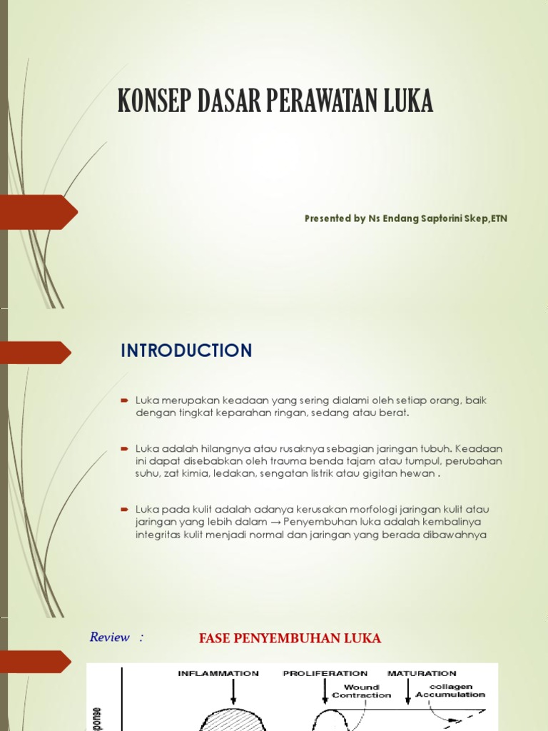 Konsep Dasar Perawatan Luka | PDF