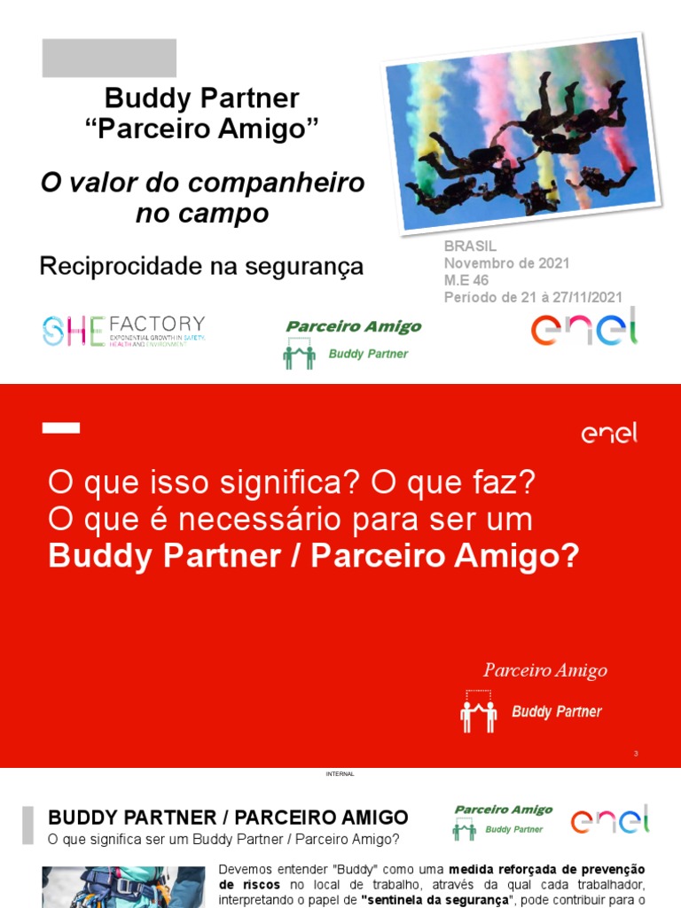 Programa Parceiro Amigo (Buddy Partner) | PDF | Ciência cognitiva ...