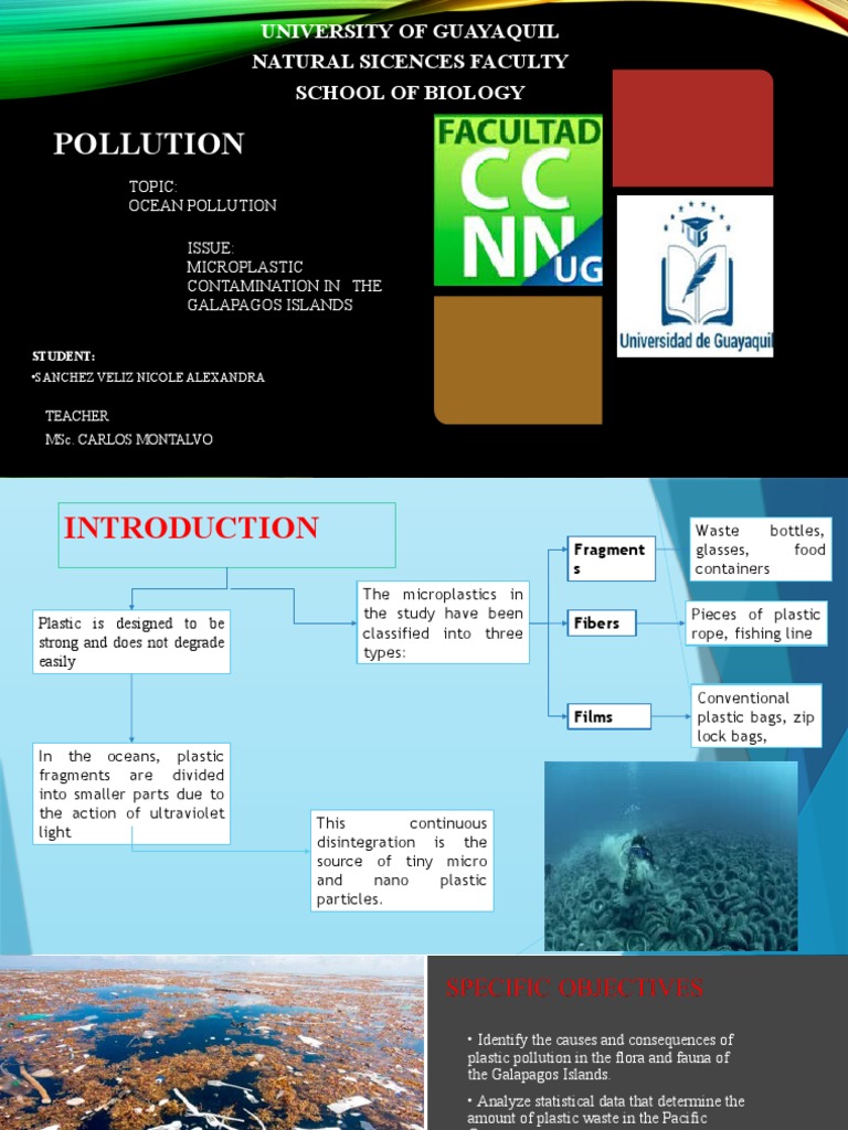 Pollution: University of Guayaquil Natural Sicences Faculty School of ...