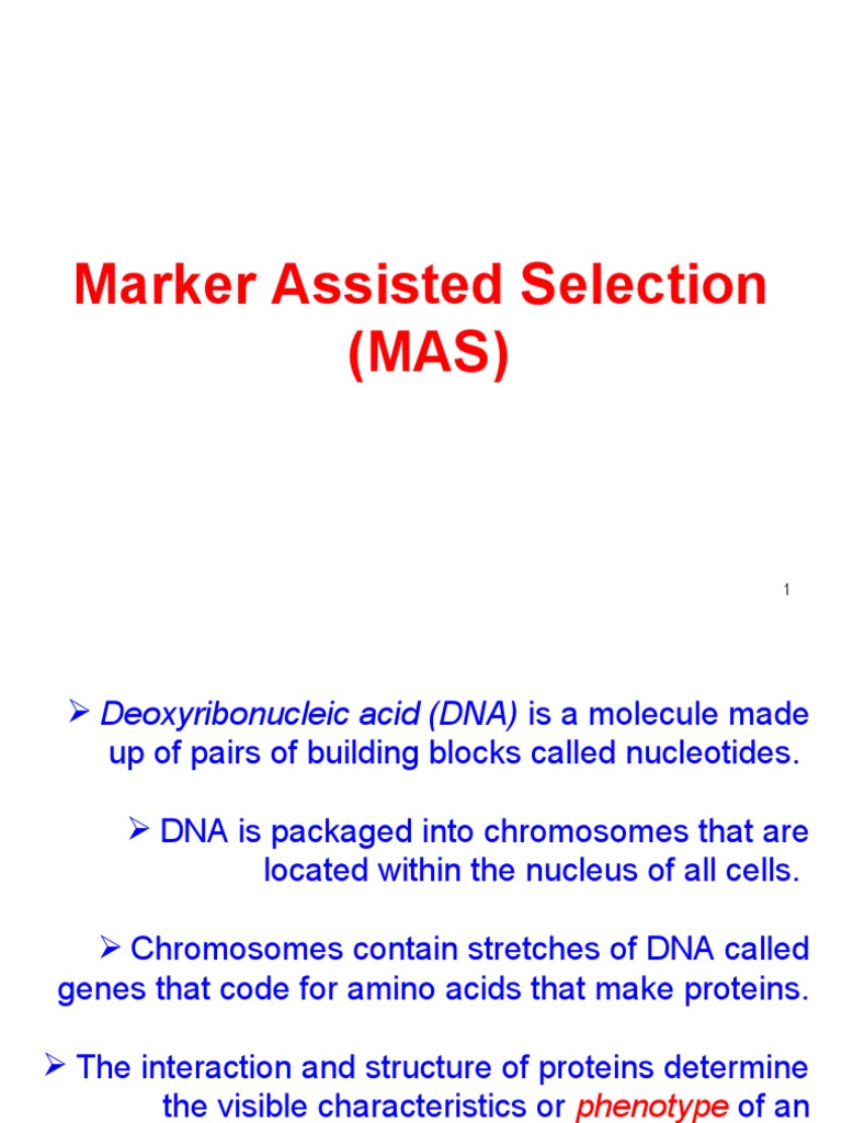 Marker Assisted Selection (MAS) | PDF | Microsatellite | Gene