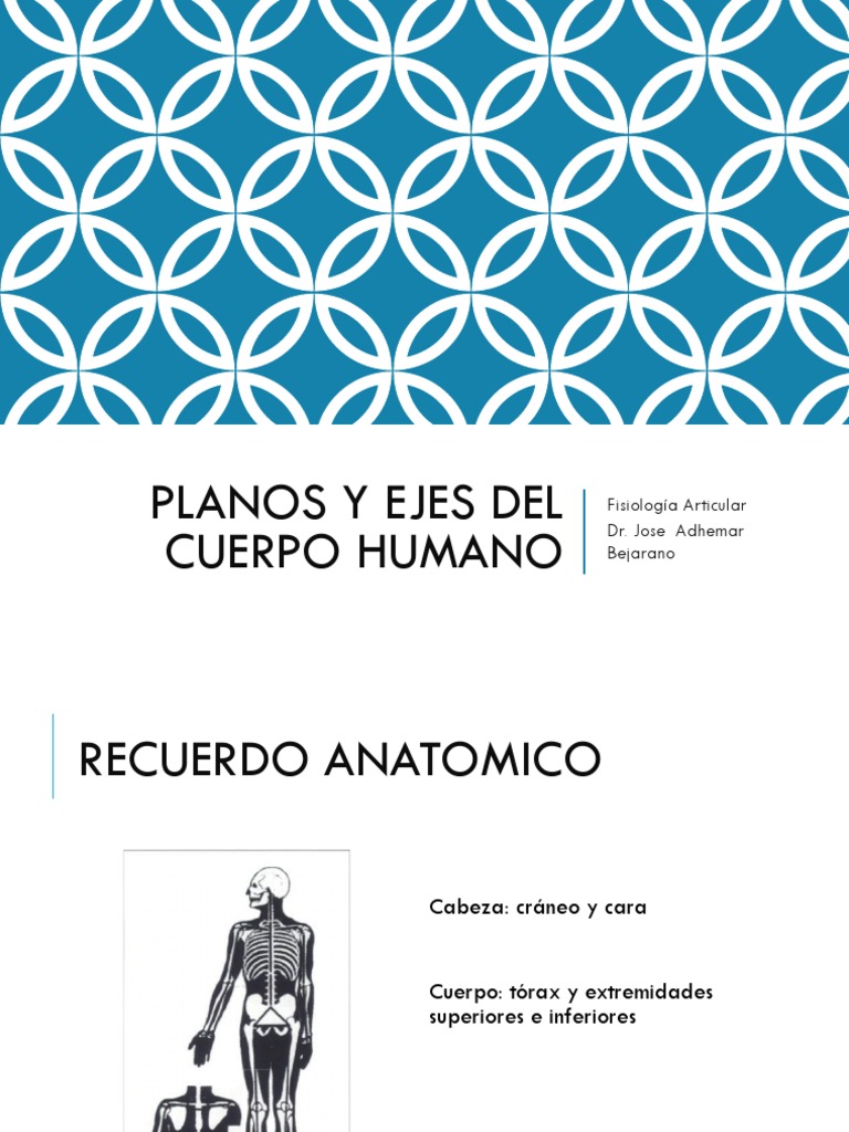 Planos Corporales | PDF | Articulación | Palanca