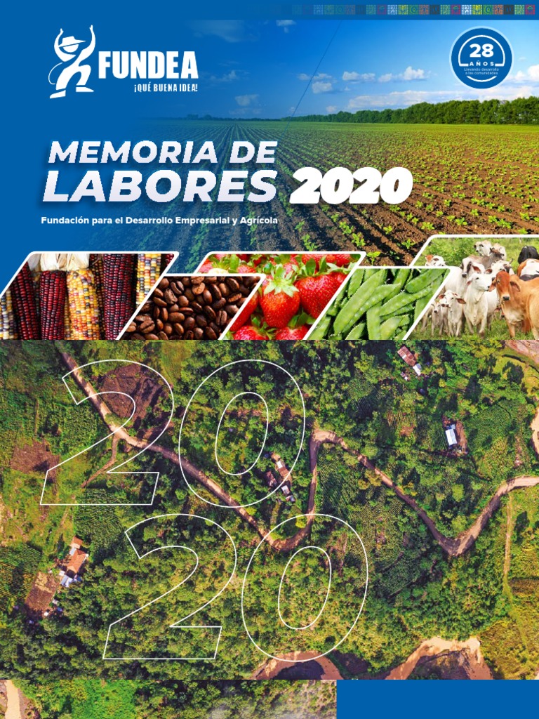 FUNDEA Fundea 2020 | PDF | Tecnología financiera | Finanzas y ...