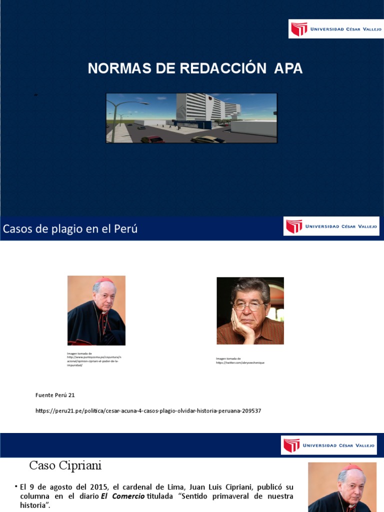 Normas Apa | PDF | Mercado (economía) | Perú