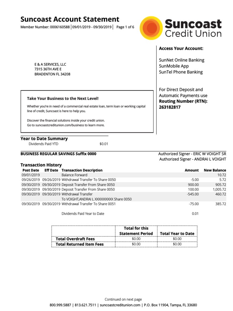 Suncoast Account Statement: Access Your Account: Sunnet Online Banking ...