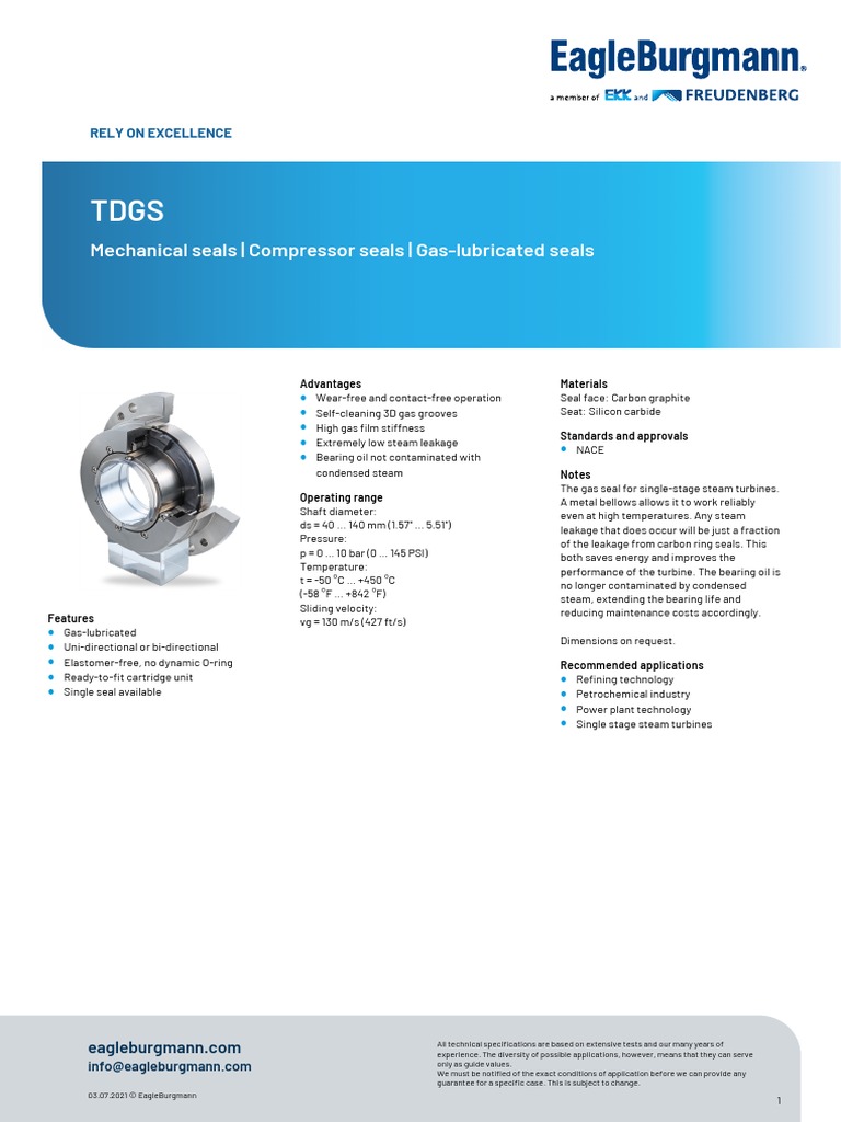 EagleBurgmann TDGS en | PDF | Bearing (Mechanical) | Steam