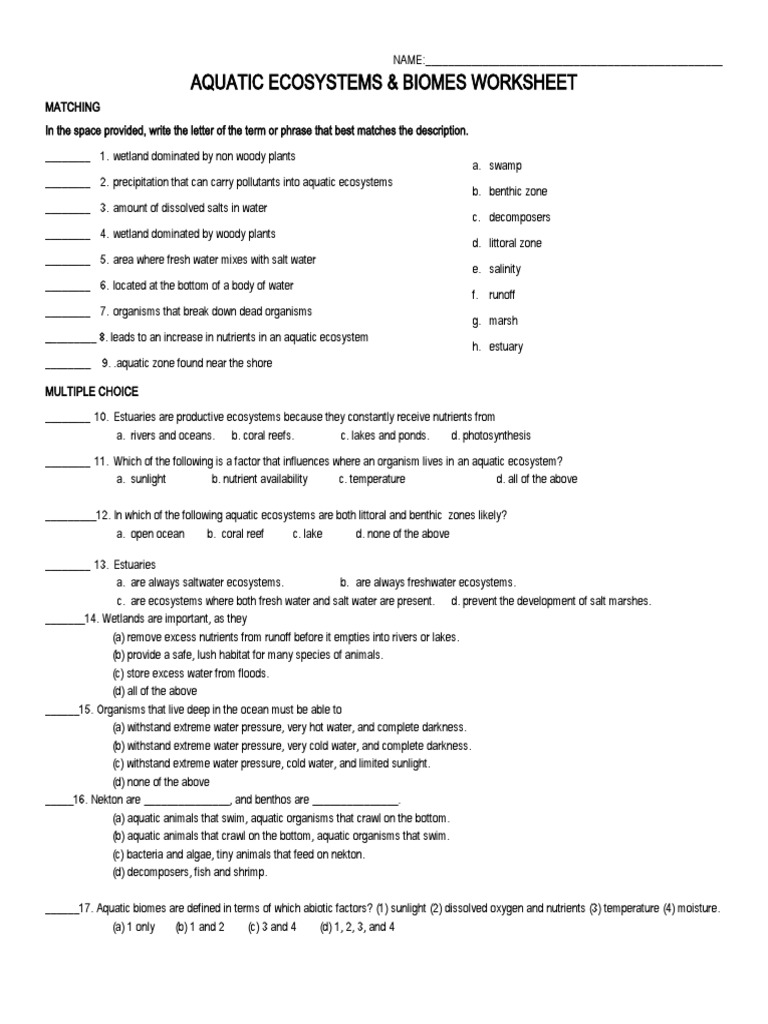 Aquatic Ecosystems Biomes Worksheet | PDF | Aquatic Ecosystem | Ecosystem