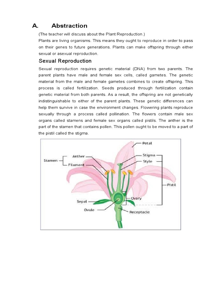 A Abstraction Sexual Reproduction Pdf Pollination Sex