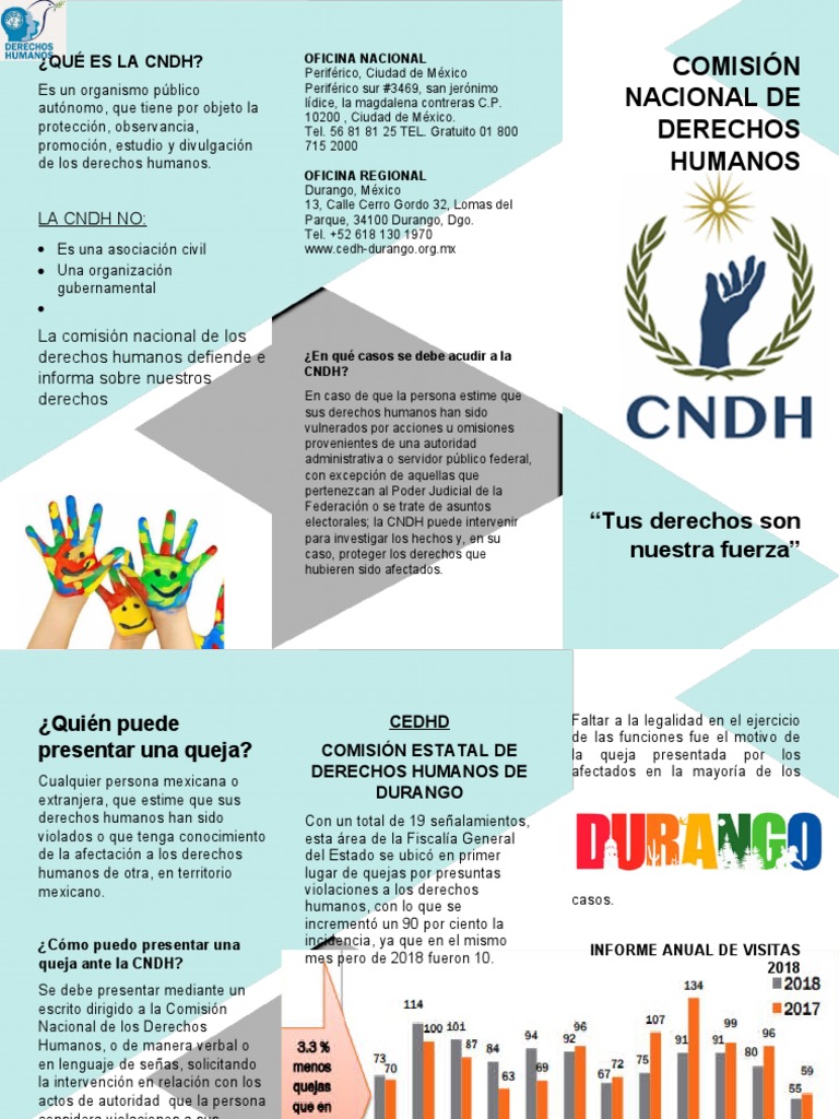 Qué Es La CNDH | PDF | Derechos | Gobierno