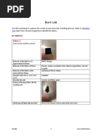 T168 Burn Test Chart | PDF | Rayon | Textiles