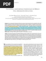 Economía y agricultura mixteca | PDF | Mesoamérica | Agricultura