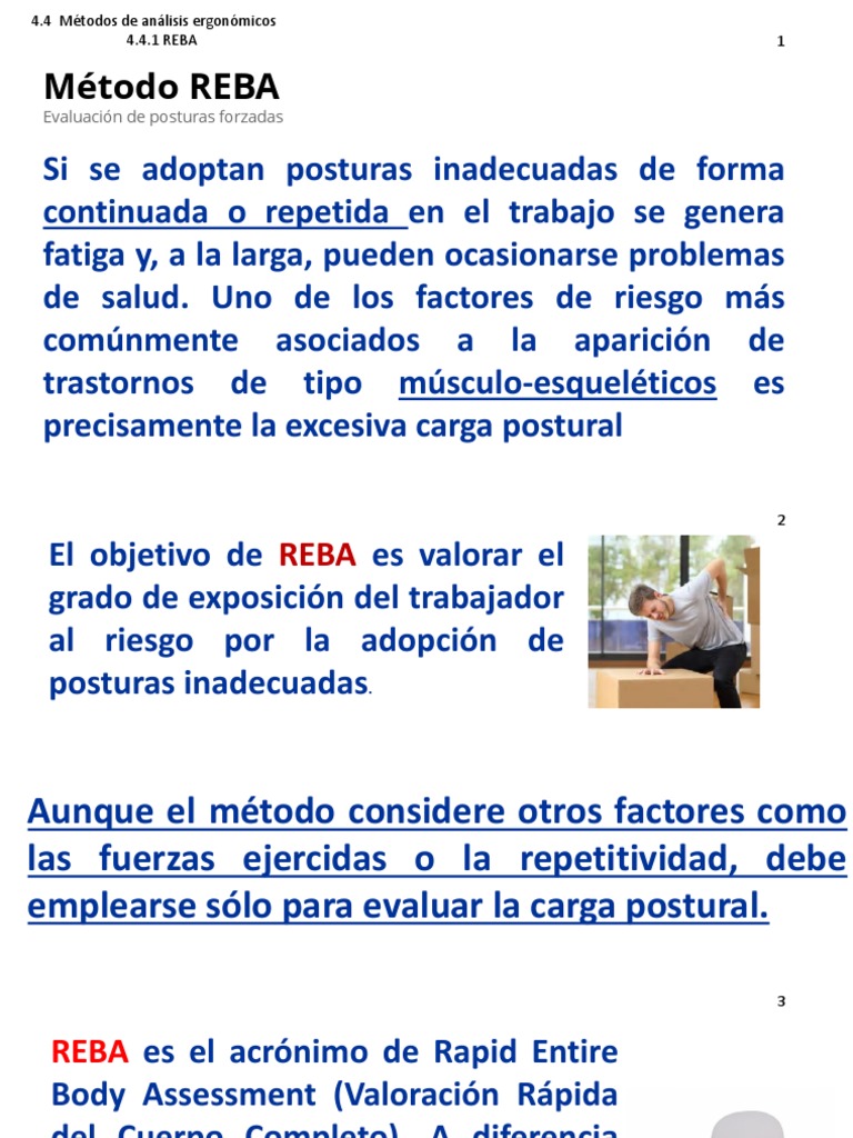 Reba | PDF | Rodilla | Factores humanos y ergonomía