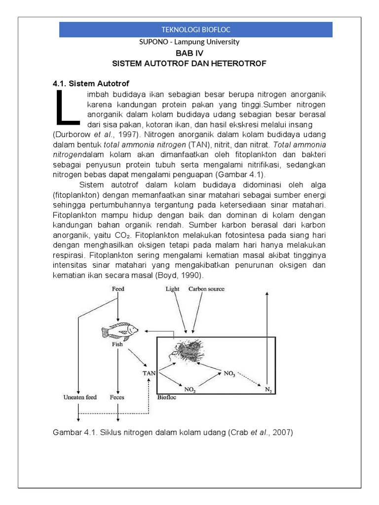Sistem Autotrof Dan Heterotrof Dikonversi | PDF