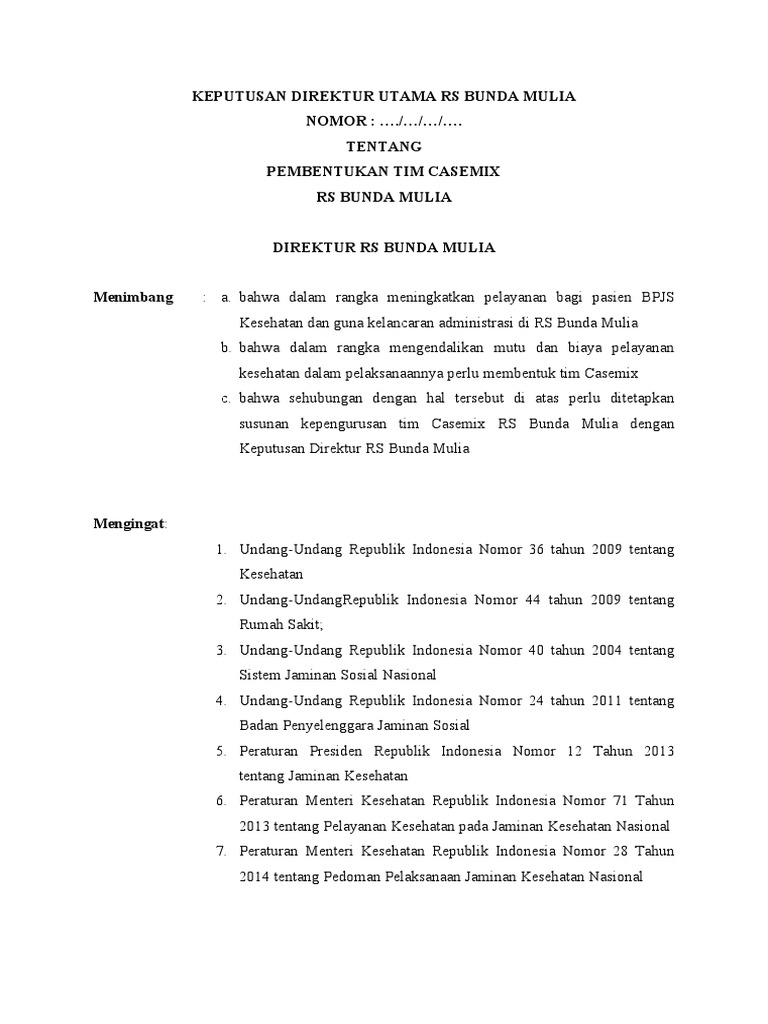 SK Pembentukan Tim Casemix | PDF