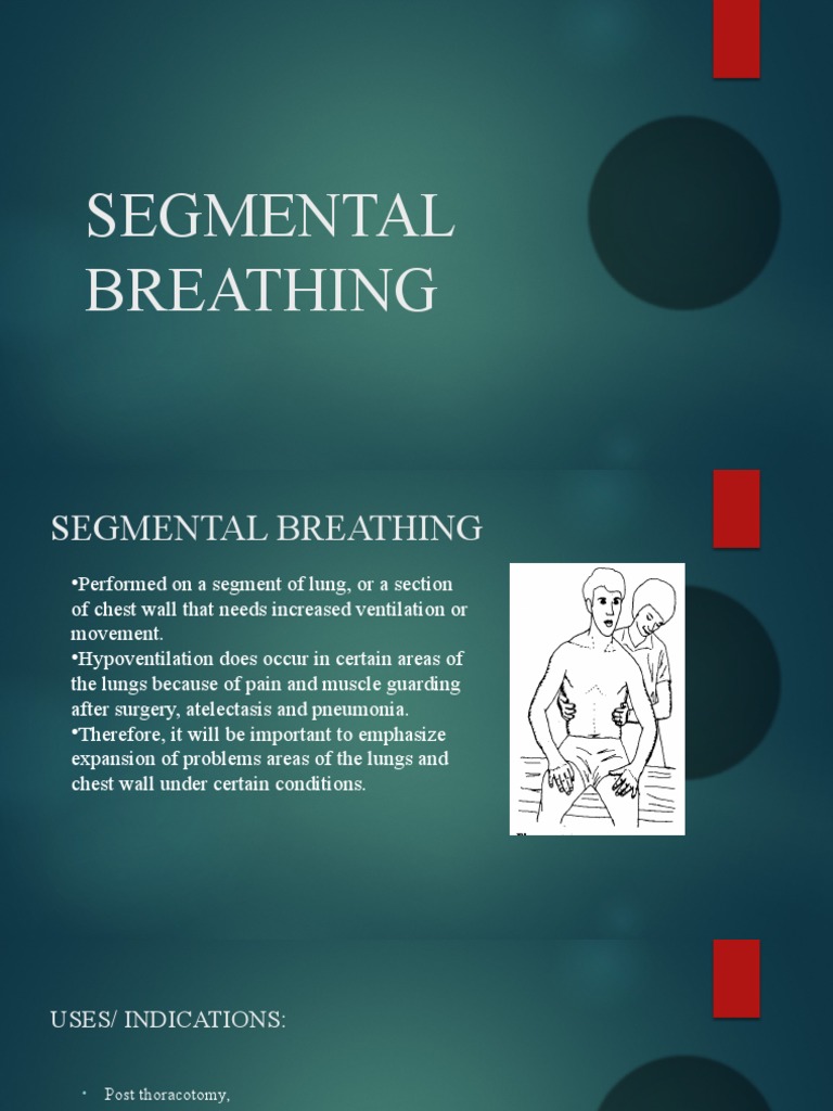 Segmental Breathing | PDF | Thorax | Lung