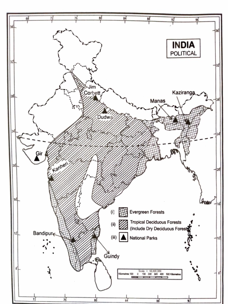 Maps of Natural Vegetation | PDF | Forests | Physical Geography