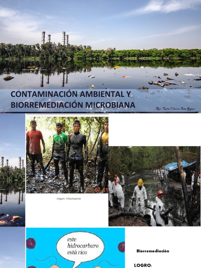 C14-Biorremediación Microbiana-Ma | PDF | Química | Química