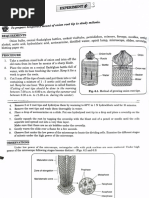 Biology Practical File | PDF | Teaching Methods & Materials | Science ...