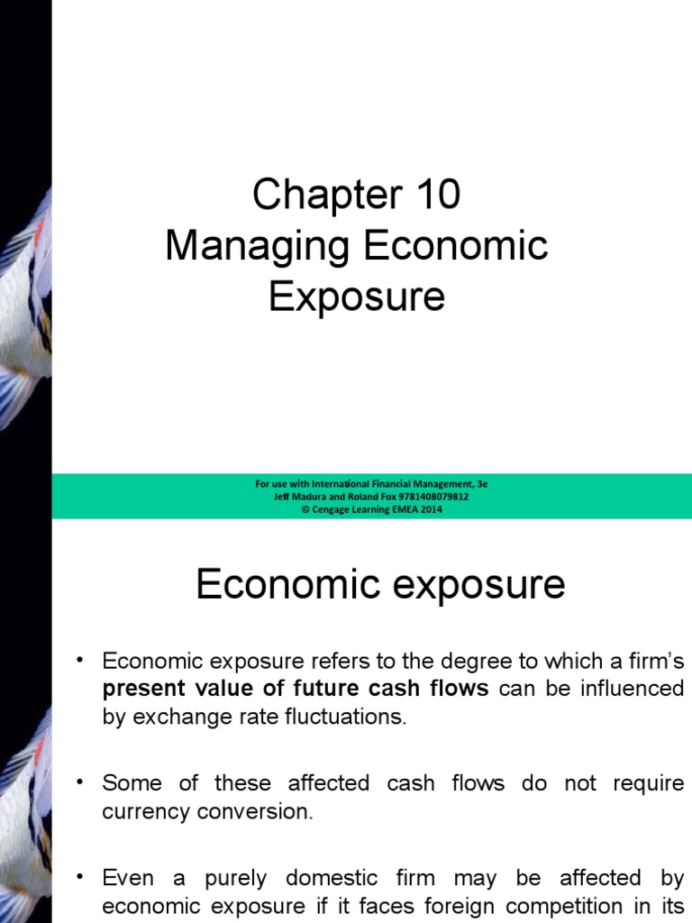 Chapter 9 - Economic Exposure | PDF | Exchange Rate | Hedge (Finance)