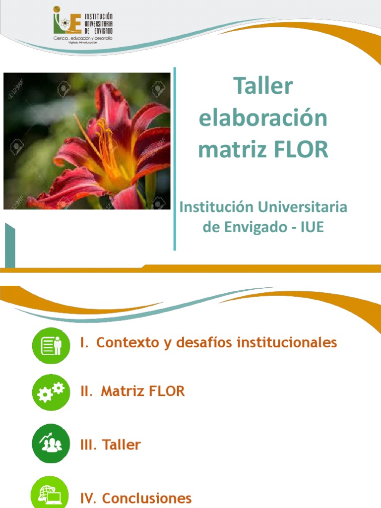 Taller sobre la Matriz FLOR en IUE | PDF | Análisis FODA | Business