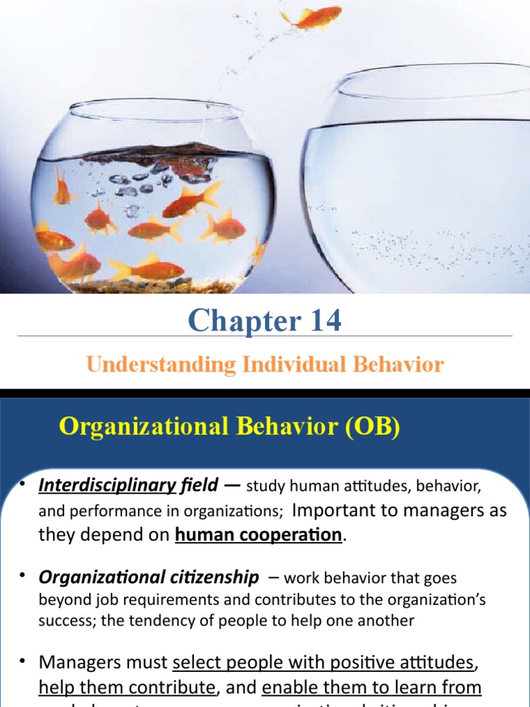 Understanding Individual Behavior | PDF | Perception | Attitude ...