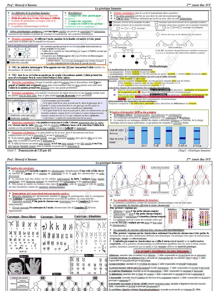 Génétique Humaine : Concepts Clés | PDF | Hérédité | Chromosome