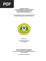 Contoh SOAP Askeb Pranikah Dan Prakonsepsi | PDF