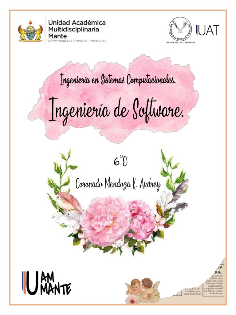 Norma ISO 12207: Ciclo de Vida del Software | PDF | Software | Business