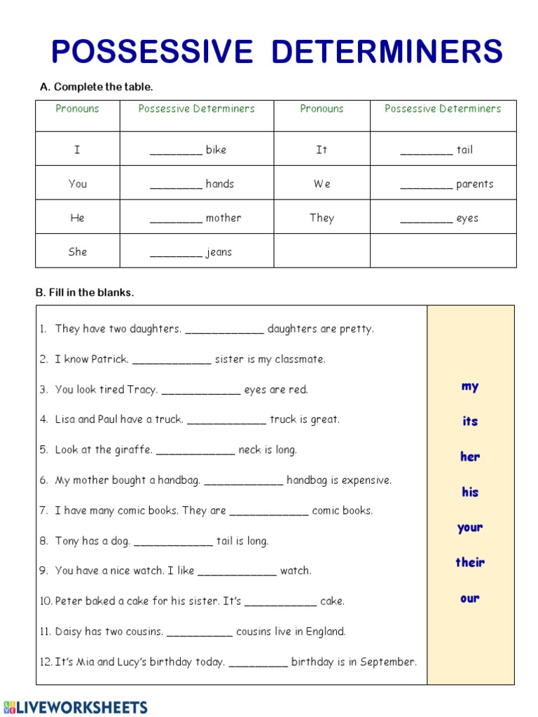Possessive Determiners Exercise | PDF