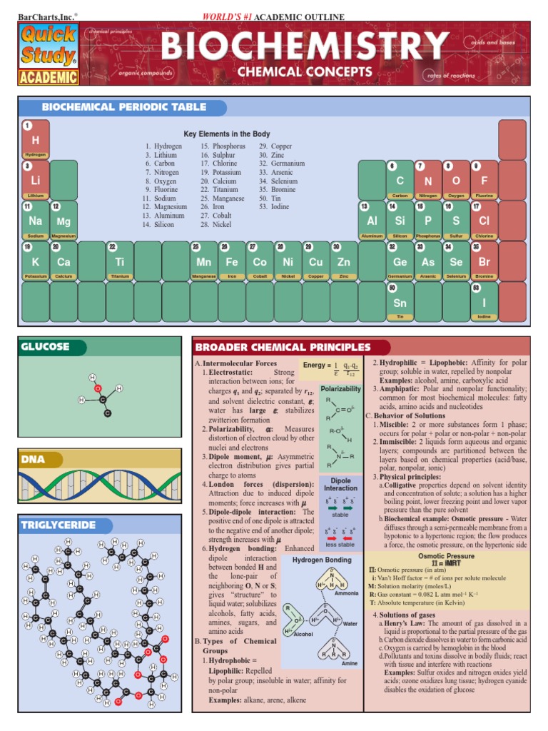 Biochemical Periodic Table: Key Elements in The Body | PDF | Chemical ...