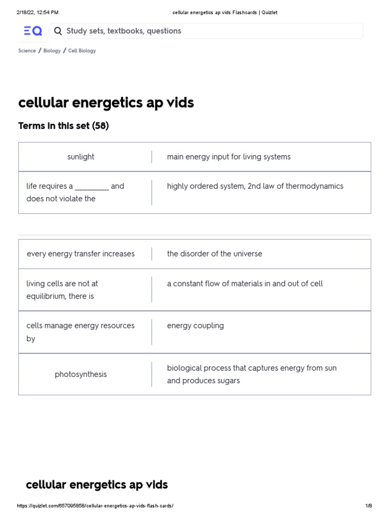 Cellular Energetics Ap Study Guide | PDF | Cellular Respiration ...