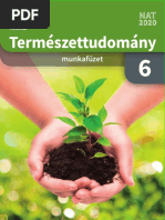 2021 - Megoldókulcs Irodalom 6 - MF - Toldi - Végéig | PDF