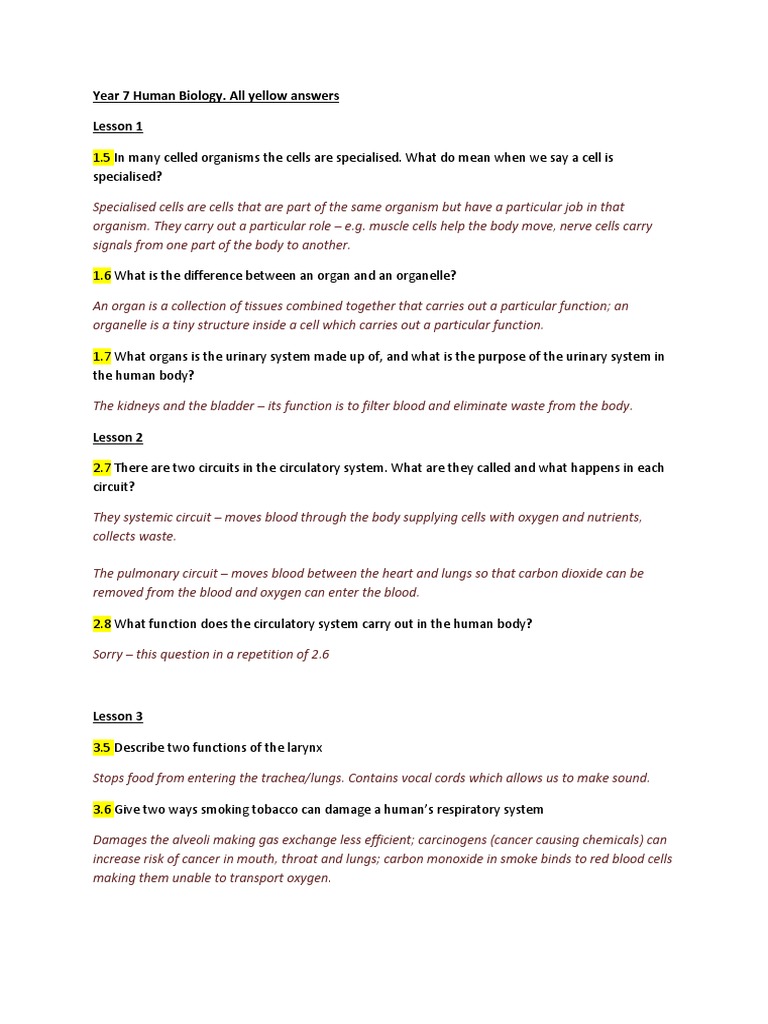 Year 7 Human Biology Study Questions - All Yellow Answers | PDF | Human ...