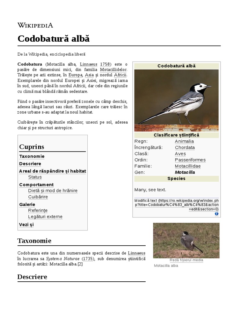 Codobatură Albă | PDF