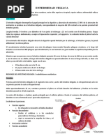 Cápsula de Glisson | PDF | Tejido adiposo | Riñón