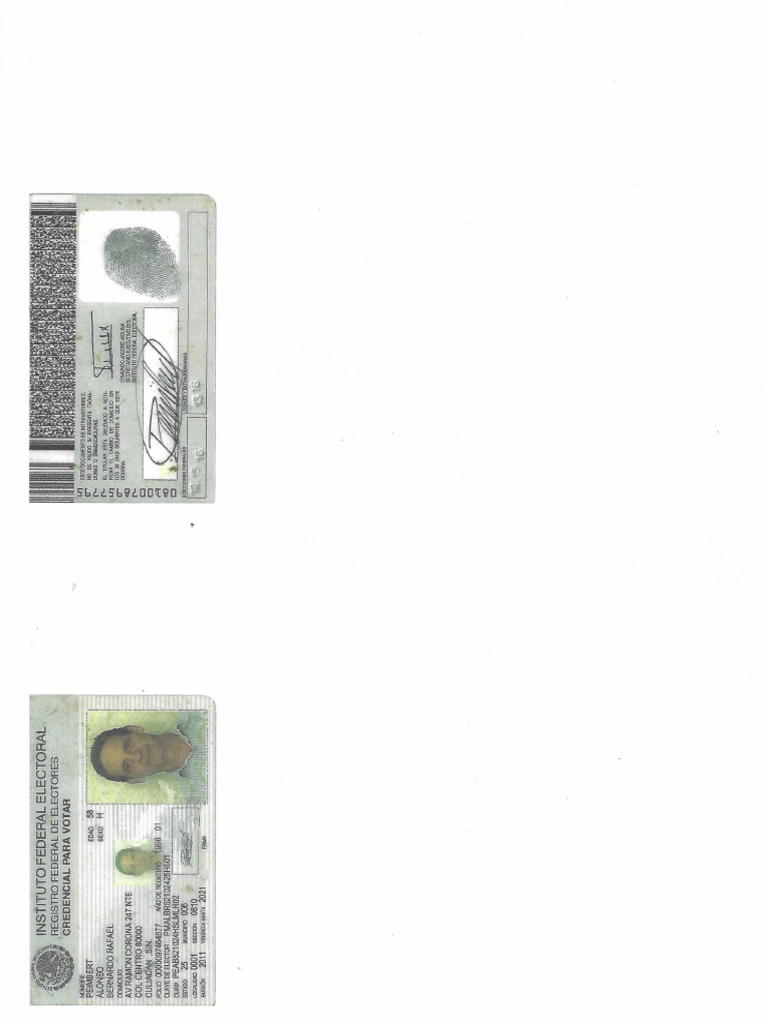 Credencial IFE INE Papá - Carta | PDF
