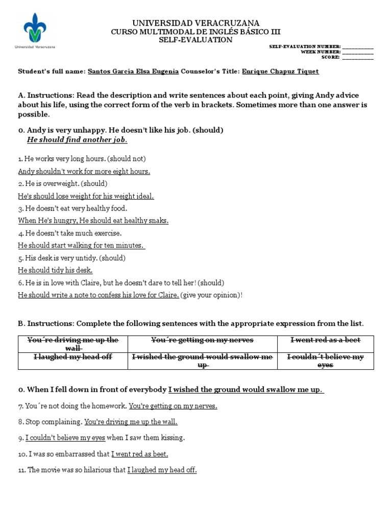 English Course Self-Evaluation | PDF
