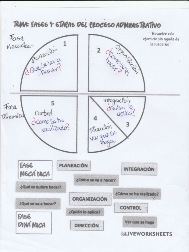 Fases y Etapas Del Proceso Administrativo | PDF