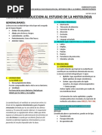 Triangulo de Farabeuf | PDF | Anatomía humana | Cabeza y cuello humanos