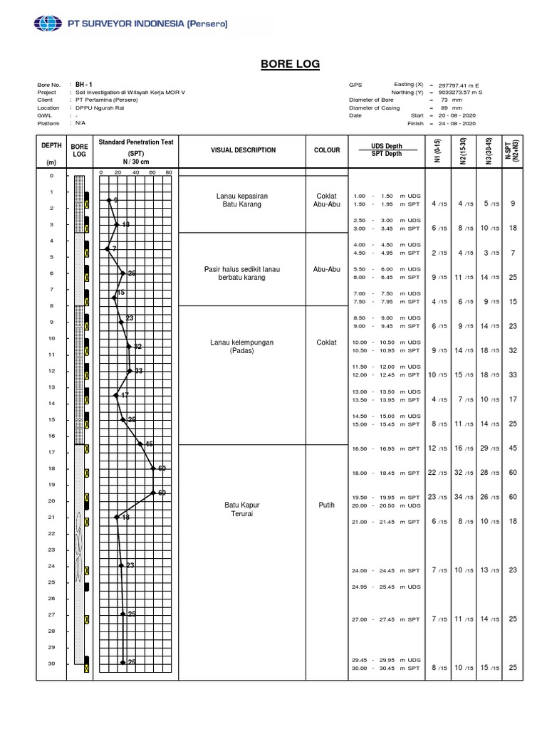 Contoh Borlog | PDF | Pengujian | Ilmu Tanah