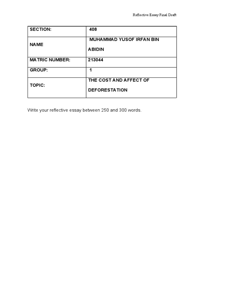 Reflective Essay Final Draft | PDF