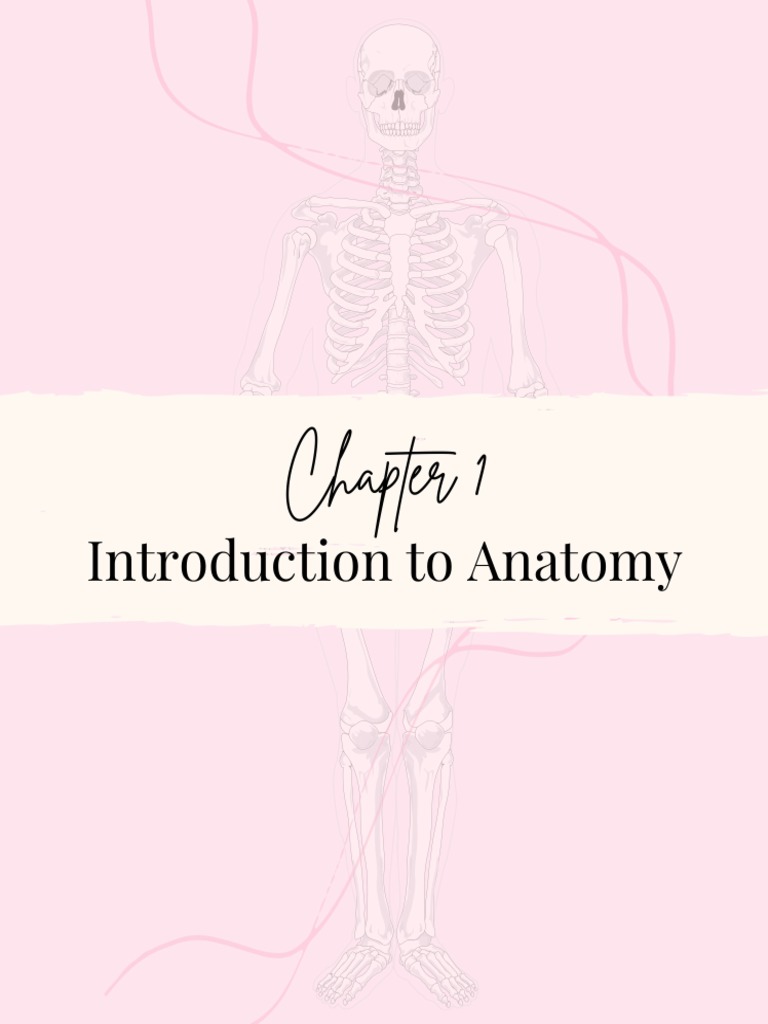 Anatomy Notes | PDF