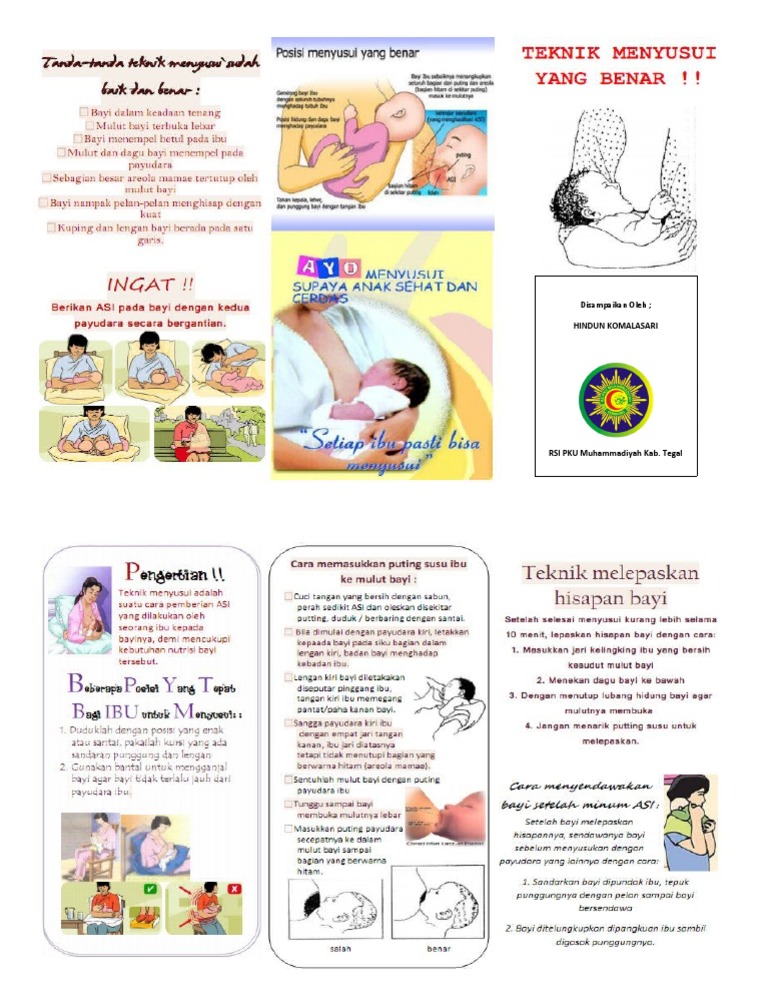 Leaflet Cara Menyusui Yang Benar | PDF