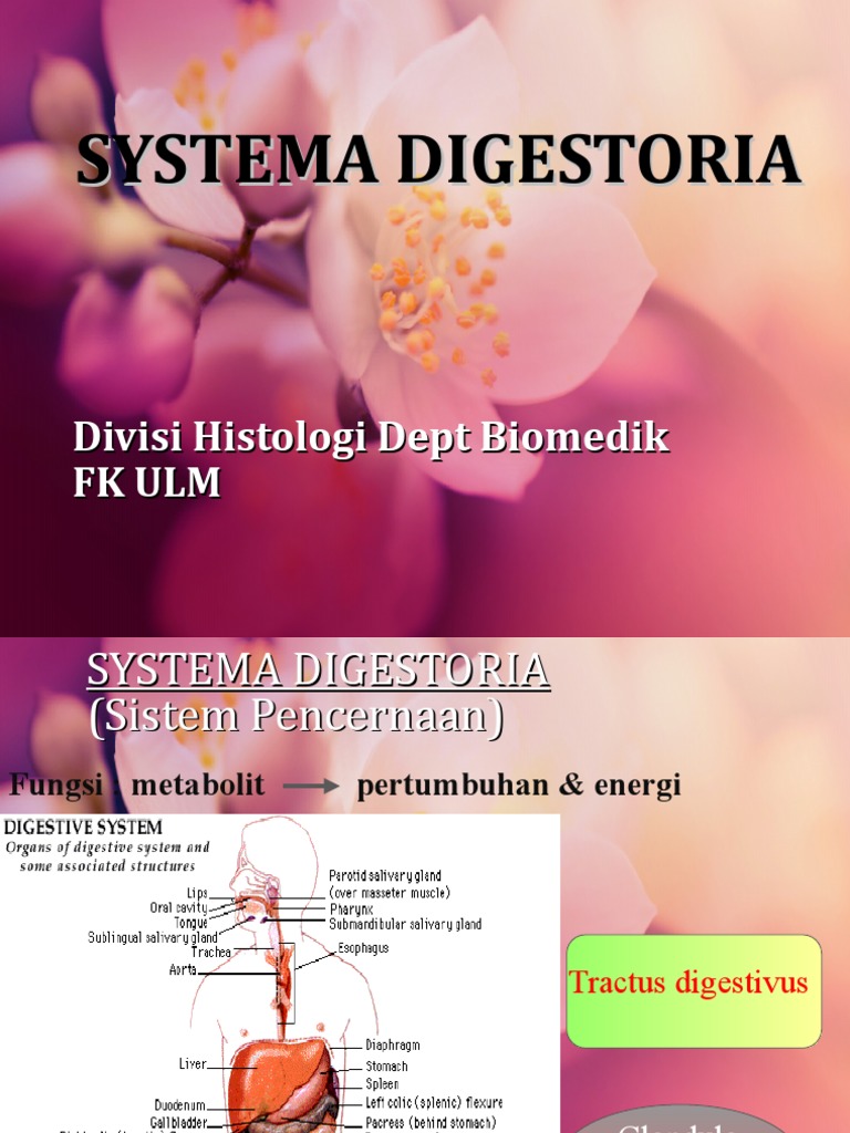 Kuliah Sist Digesti PSPD | PDF | Kesehatan Holistik | Sains & Matematika