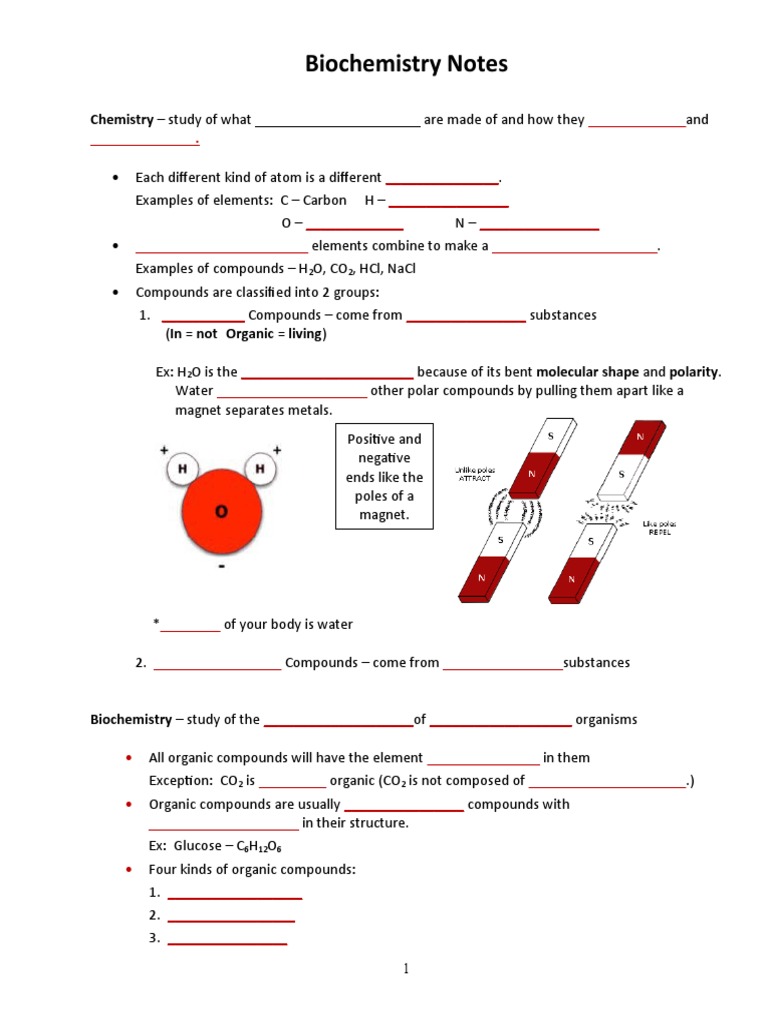 Biochemistry Notes Student | Download Free PDF | Chemistry | Biochemistry