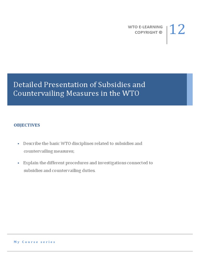 Detailed Presentation of Subsidies and Countervailing Measures in The ...