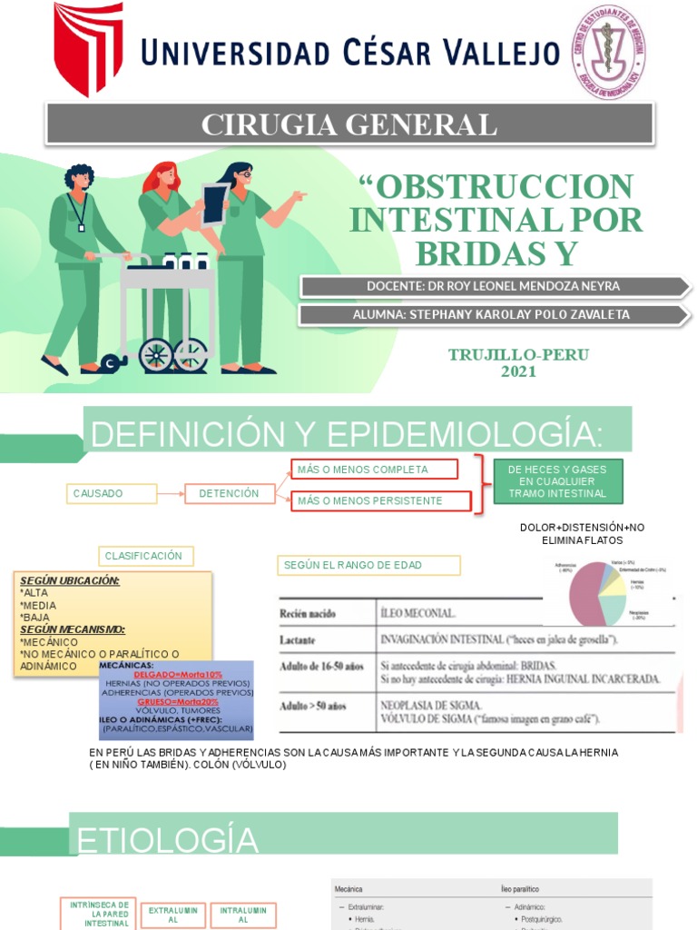 Obstrucción intestinal por bridas y adherencias: causas, diagnóstico y ...