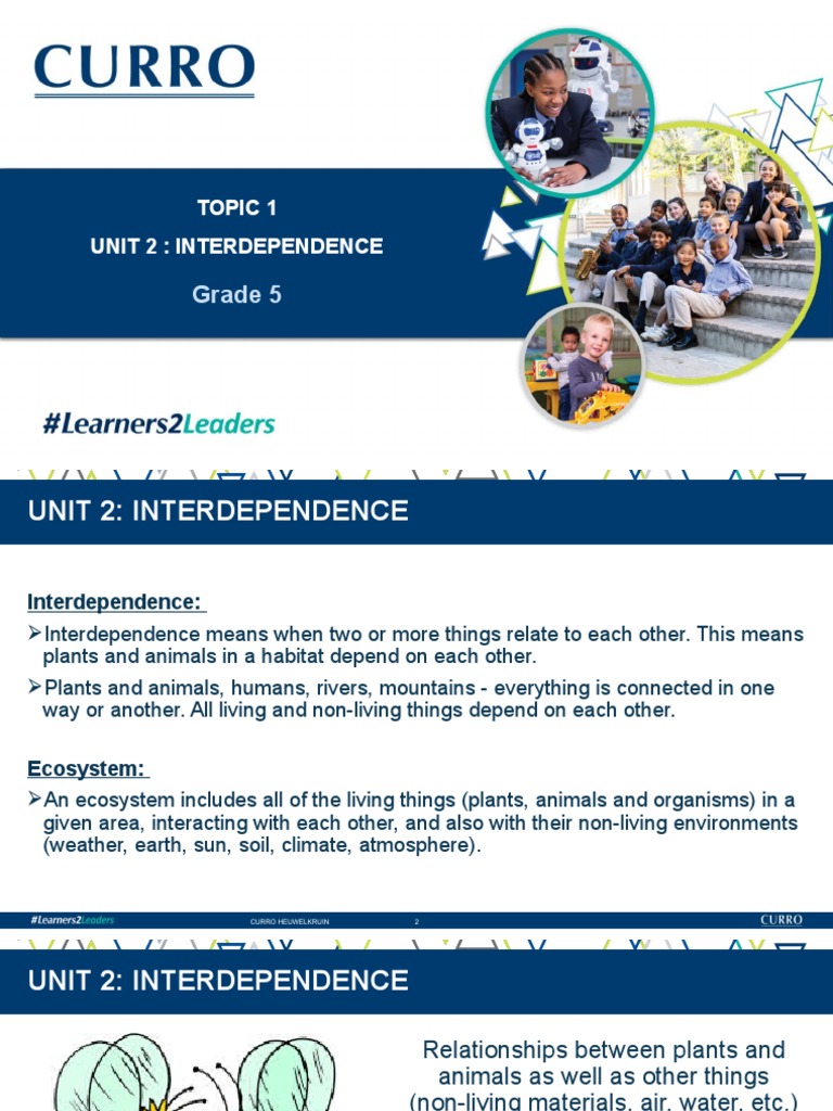 Interdependence in Ecosystems for Grade 5 | PDF | Flowers | Pollination