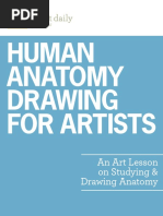 The Complete Guide To Anatomy For Artists & Illustrators Drawing The ...